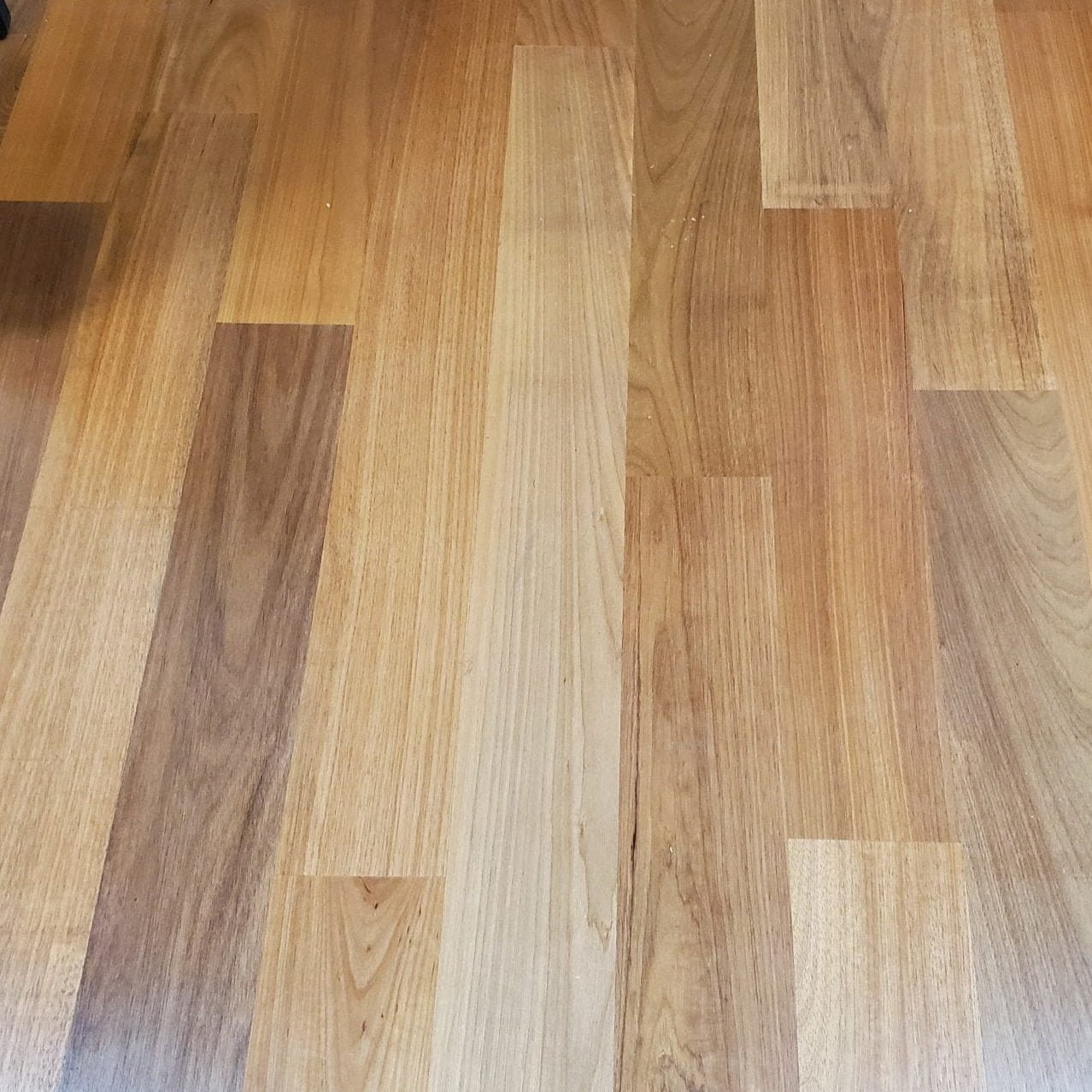 Pre-Finished Solid Brazilian Oak (Tauari) Clear Grade – Pro Hardwood